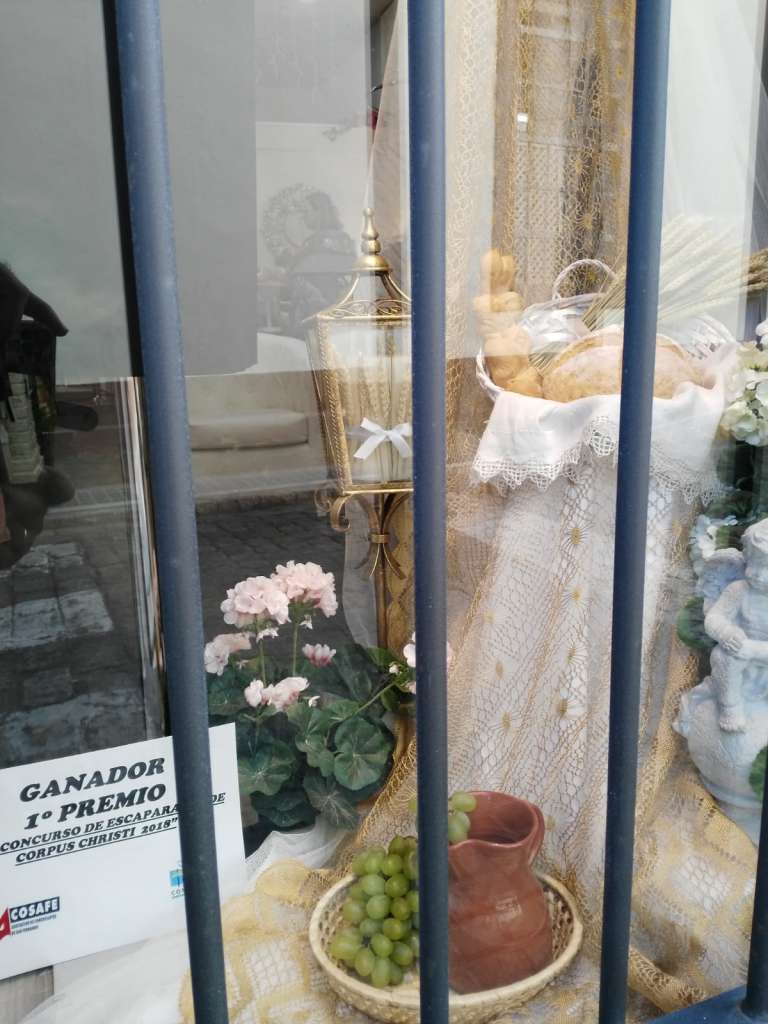 ‘Entretelas y Geranios Showroom’ ganador del VIII Concurso de ...